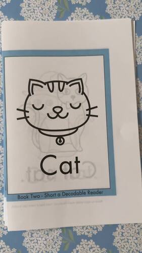 Pre-K Decodable Readers: Ryan Readers Short A Set 1 Preschool 5 Mini ...