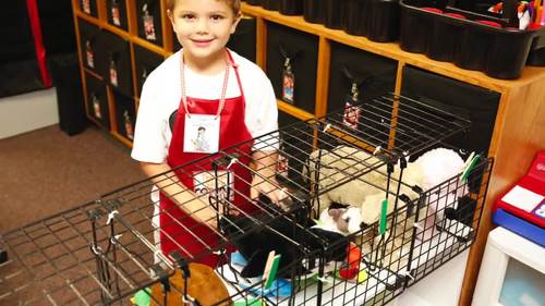 Dramatic Play - The Pet Store by Kim Adsit and Adam Peterson by Kim Adsit