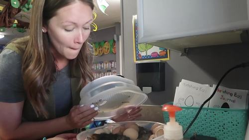 Chicken, Frog, and Butterfly Life Cycle Journals and Editable PowerPoints