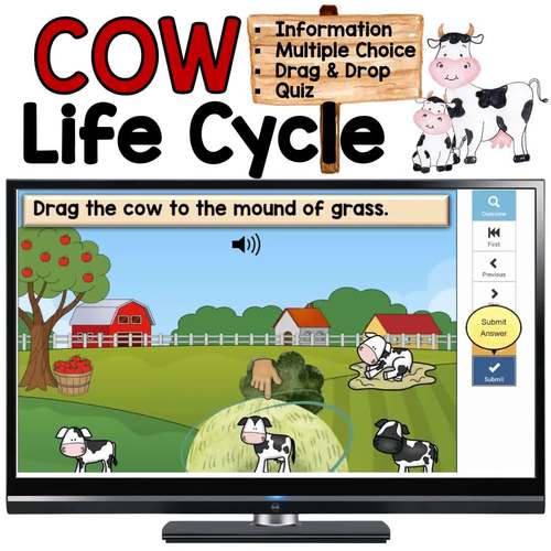 COW FARM ANIMAL LIFE CYCLE BOOM DIGITAL: GOOGLE CLASSROOM DISTANCE LEARNING