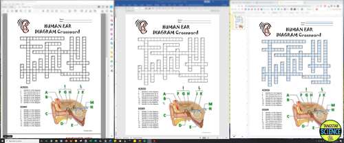 Ear Crossword with Diagram | Editable, Printable & Distance Learning ...