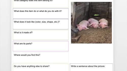 Describing Real Pictures Boom Cards ™ by love2speak | TPT