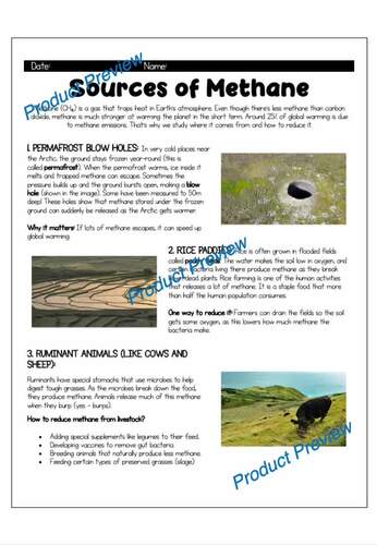 No-Prep Climate Change Worksheet | Human Activities & Methane | TPT
