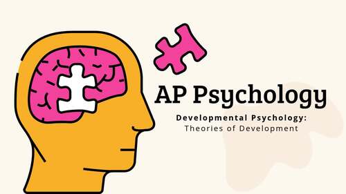 Theories of Development PowerPoint Presentation: AP Psychology Unit 3 ...