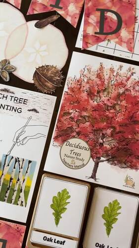 Deciduous Trees Nature Study by For the Love of Homeschooling | TPT