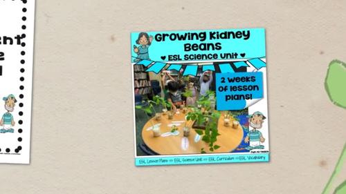 ESL Plans & Picture Cards Science Unit - ELL Curriculum, Activities ...