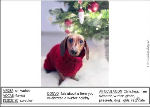 Mixed Group Open Ended Pictures | Speech Therapy | Print & Boom Cards™