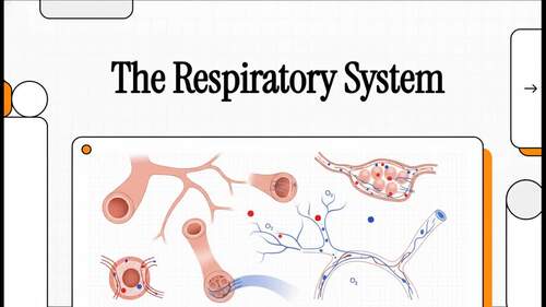 Respiratory System Bundle | PowerPoint + PDF + 50-Question Test ...
