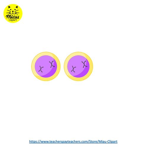 Male Reproductive System Clipart | Human Body | Sexual Anatomy | Gif ...