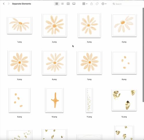 Watercolor Daisy Clipart, Wild Daisy Design Graphics, Classroom Decor