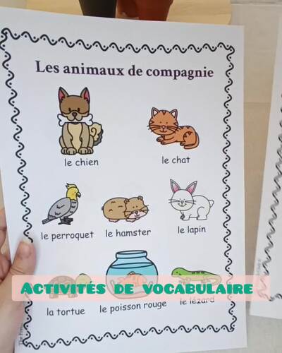 French Animals Vocabulary NO PREP - Les animaux : Activités de vocabulaire