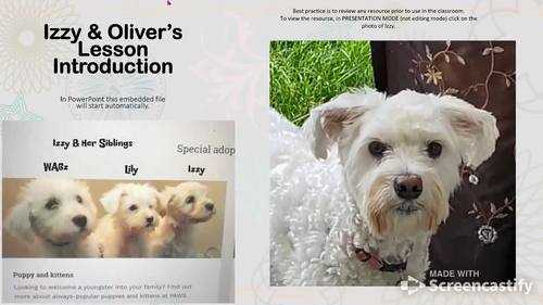 APPRECIATING DIFFERENCES & OTHERS Diversity Ready 2 Use SEL Lesn 4 vid ...