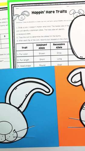 Genetics and Punnett Square Activity by Teaching Muse | TPT