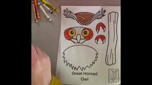 Cut and Paste Interactive Great Horned Owl Fun Fine Motor Art Project