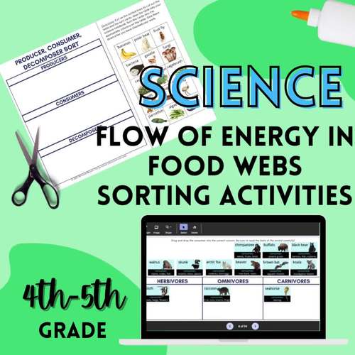 Flow of Energy in Food Webs Sorting Activities | Print & Digital Versions
