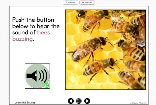 Spring Language & Listening Activity Speech Therapy BOOM CARDS™ with ...