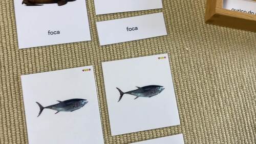 22 OCEAN ANIMALS Montessori language cards by YUDO MONTESSORI | TPT