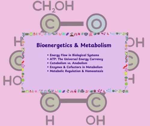 Bioenergetic; GCSE biology notes by Biochemistry by Noor | TPT