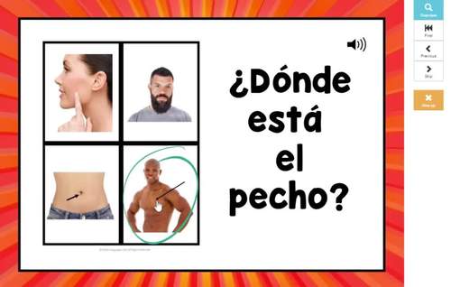 Spanish Body Parts Boom Cards, Spanish Digital Flashcards, Recognition