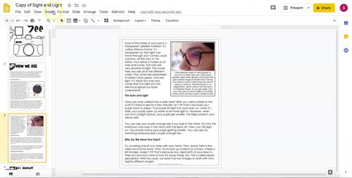 Sight & Light NGSS 5-Day Unit for 4th Grade | 4-PS4-2 Science + ELA