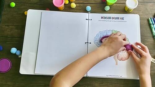 Anatomy Busy Book Quiet Book For Kids Preschool Homeschool Printable