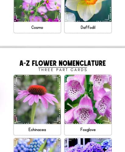 A-Z Flower Nomenclature 3 Part Cards, Spring Activities, Alphabet ...