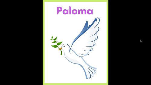 Birds Flash cards in Spanish. 16 Printable Posters for kids to learn ...