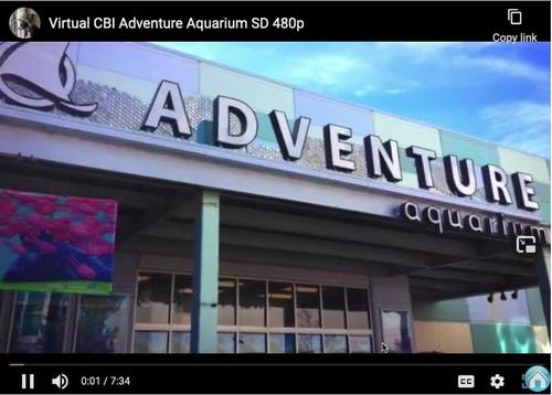 Virtual Field Trip Adventure Aquarium Boom Cards by Speech Rocks