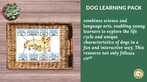 Parts of a Dog Life Cycle Types: Montessori Nomenclature 3 Part Cards Facts