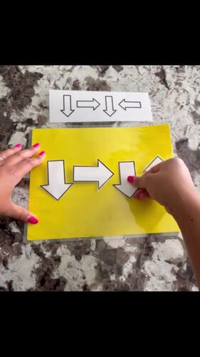 Which Way: Visual Perceptual Game (B&W and Color) by mOTivated OT Mama