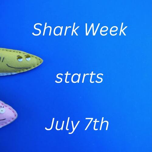 Sew a Shark Stuffie by Trixi Symonds | TPT