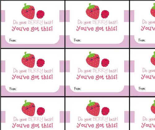 Fruit Snacks Testing Motivation Gift Tag- Do your berry best! | TPT
