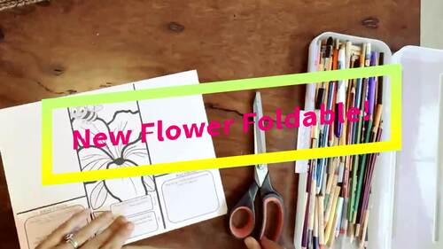 Flower Structure Foldable Activity by Science With Grapes | TPT