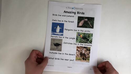 Preschool Bird Habitats Thematic Unit by A Messy Classroom | TPT