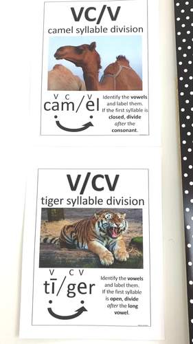 Syllable Division Posters (Real Images) Orton-Gillingham Science of Reading
