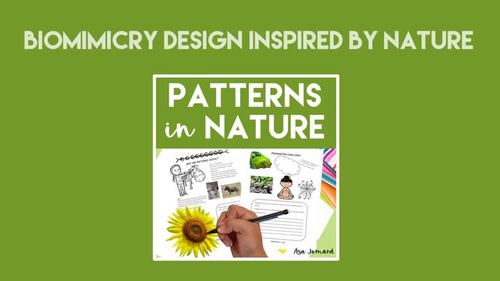Explore Patterns & Shapes in Nature | Engaging Activities Inspired by ...