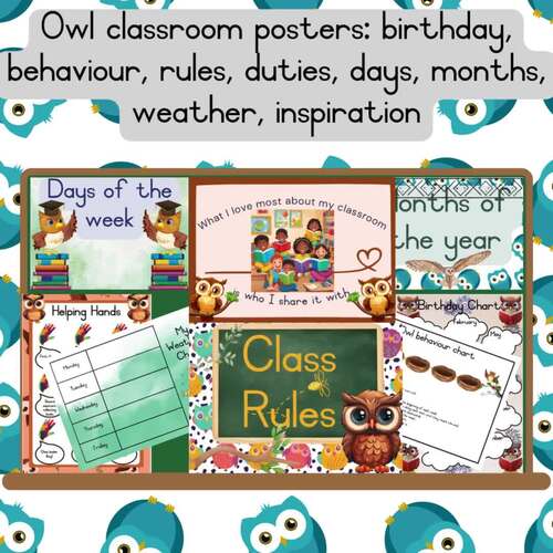 Owl theme classroom posters by Gizelle Geyer | TPT