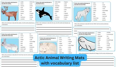 Arctic Animal Writing by Jilly Bean Teaching Resources | TPT