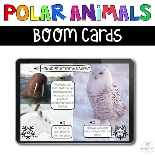 Boom Cards Polar Animals Digital Activities Distance Learning | TpT
