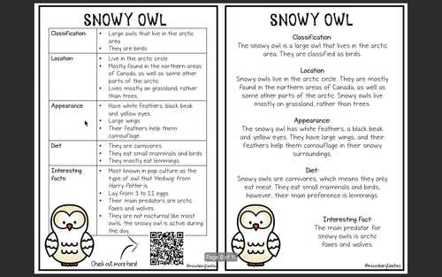 Arctic Animal Fact Files by Miss O'Leary Teaches | TPT