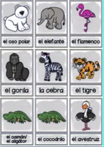 LOS ANIMALES DEL ZOOLÓGICO - Picture + Word Cards (Spanish) | TPT