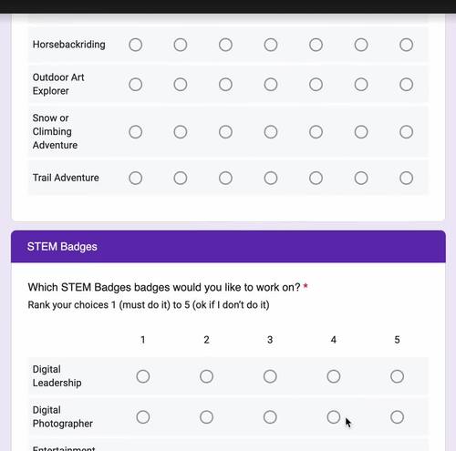Junior Girl Scout Badge Voting Google Form by Math Scouts and More