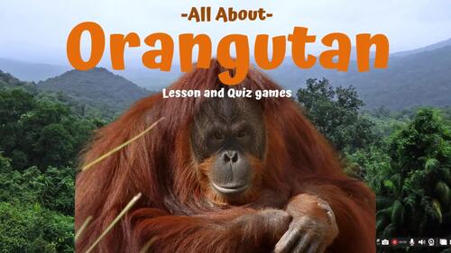 All About Orangutan ,Life cycle, PowerPoint Lesson Quiz for 1st,2nd,3rd,4th
