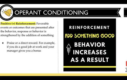 Learning Unit Bundle (45-50 Minute Class Periods) (OLDER CURRICULUM)