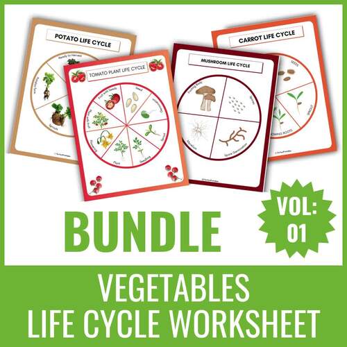 Vegetables Life Cycle Bundle 01: Tomato, Mushroom, Potato, Lima Bean ...