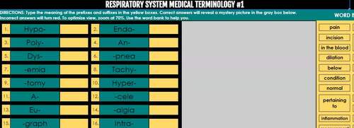 Respiratory System Medical Terminology Mystery Picture Reveal | TPT