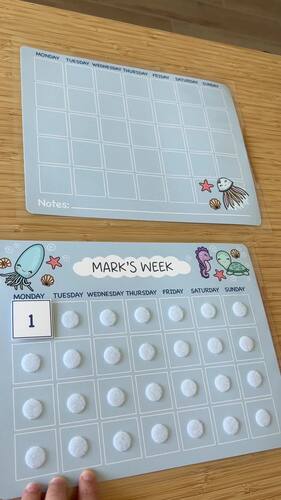 Classroom daily visual schedule editable, Visual schedule autism, Chore ...