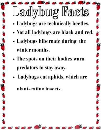 Life Cycle of a Ladybug Writing - Labeling Ladybugs - Can Have Are Charts