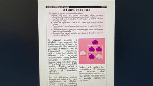 grade 12 Genetics Dihybrid Punnett Squares, heredity, worksheets, lesson