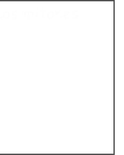 Bilingual Winter Vocabulary Flashcards | English & Spanish Word Cards